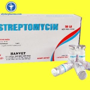 Thuốc Streptomycin là thuốc gì? Có tác dụng gì? Cách sử dụng thế nào?